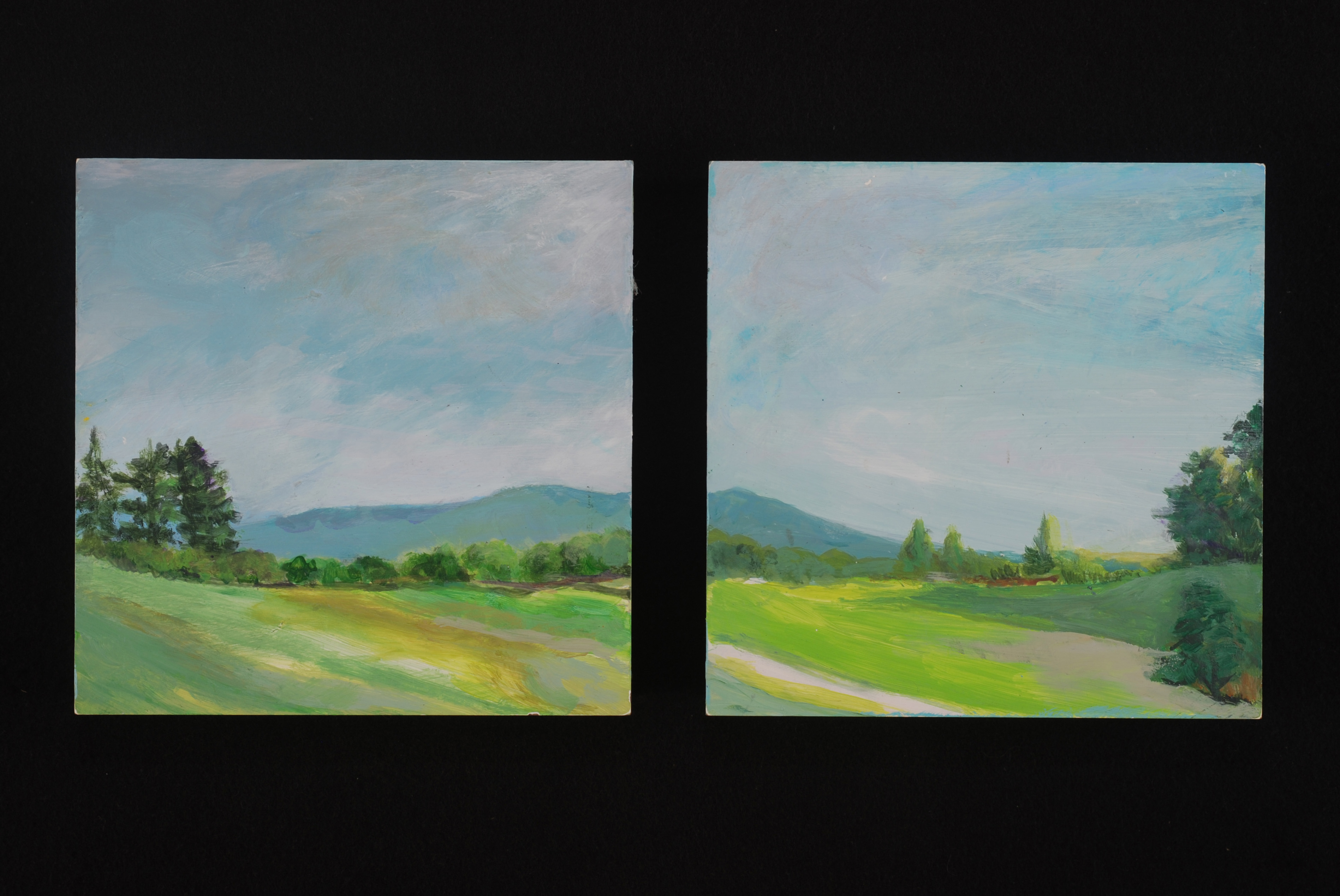 Landscape | Simone Alter-Muri